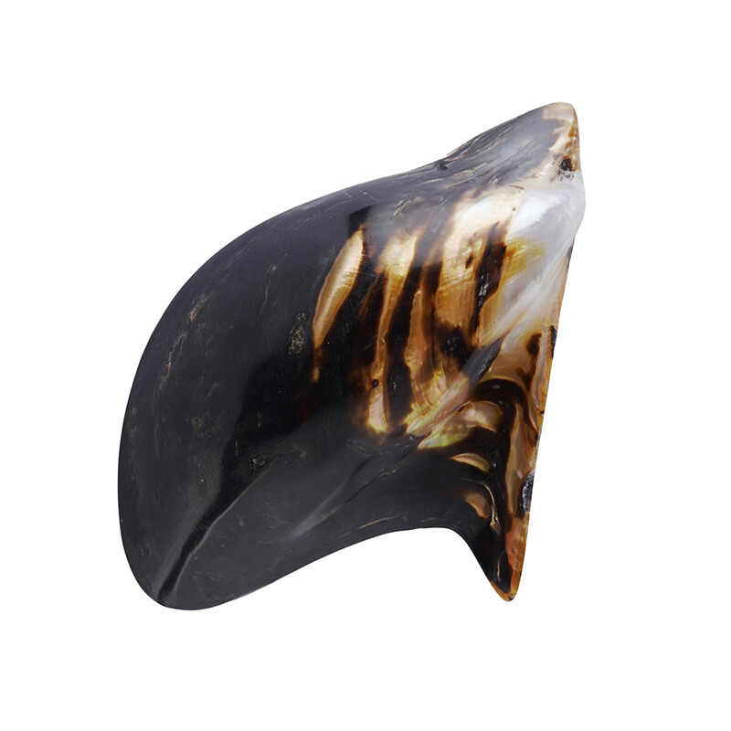 Indonesian Abalone Shell Bali Barong Carving