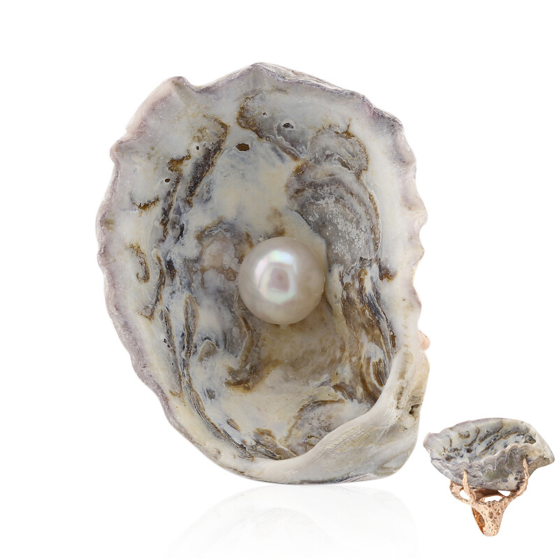 Pearlescent Shell Silver Ring, Modern Design